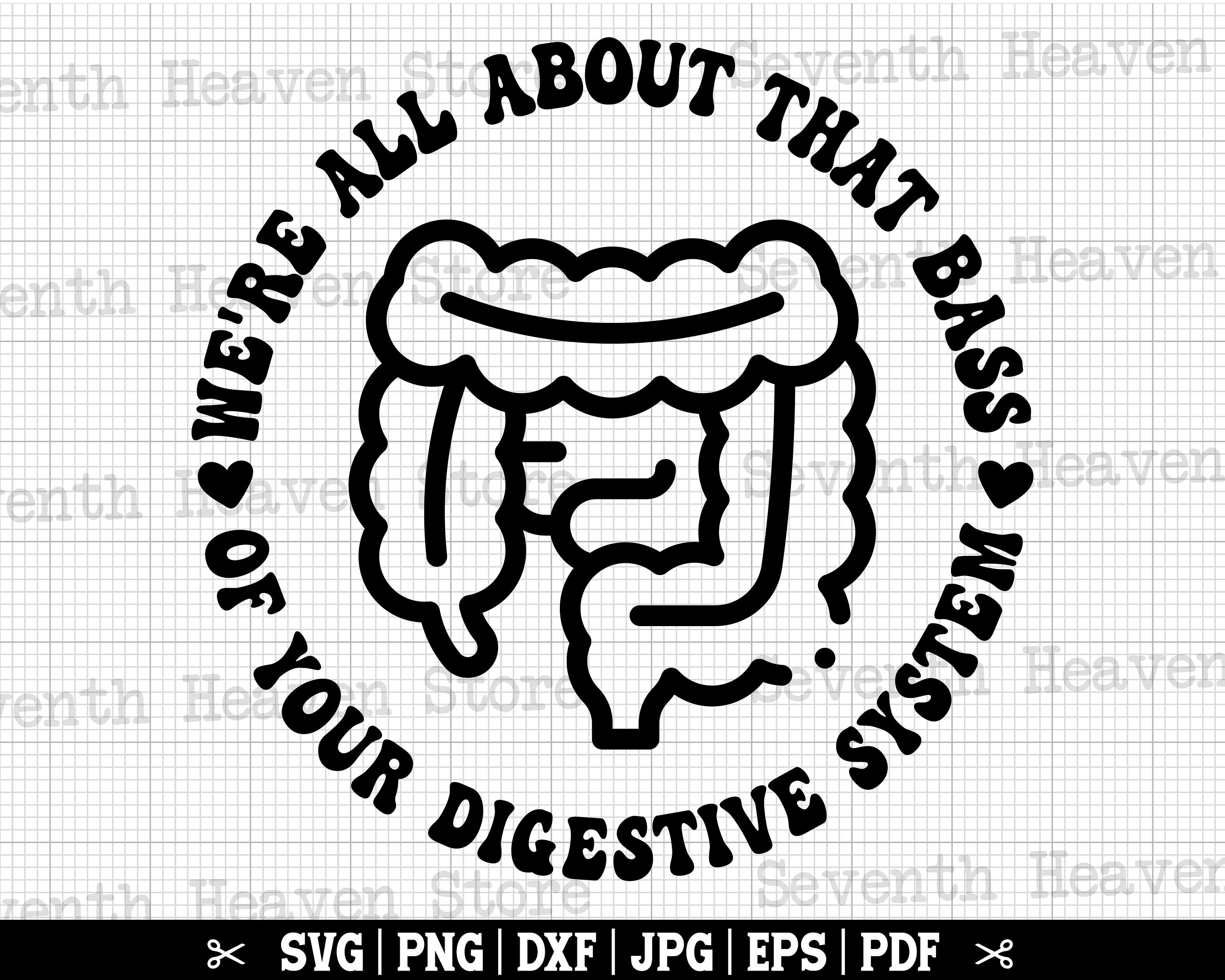 Gastro SVG Bundle, Gastro Png Bundle, Gastroenterology SVG, Gastro ...