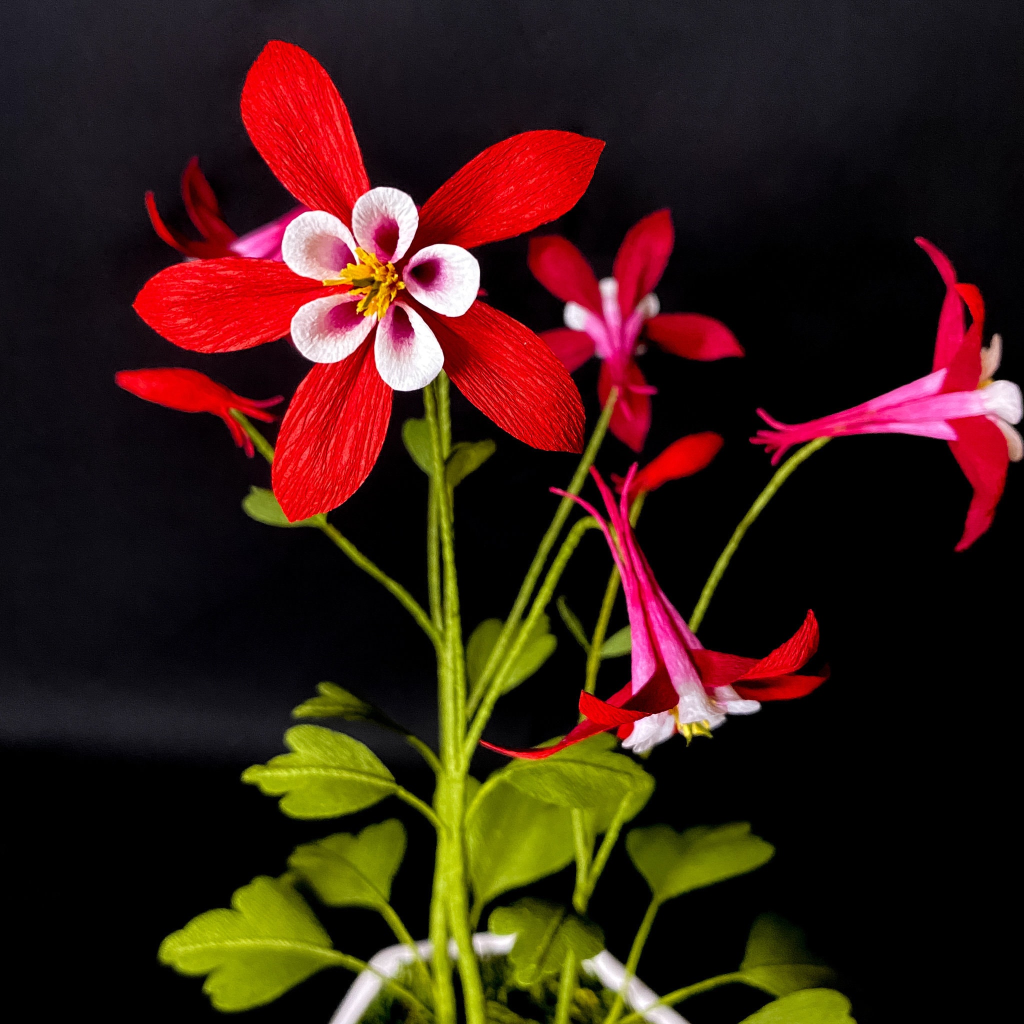 Crepe Paper Red Columbine in Planter - Etsy
