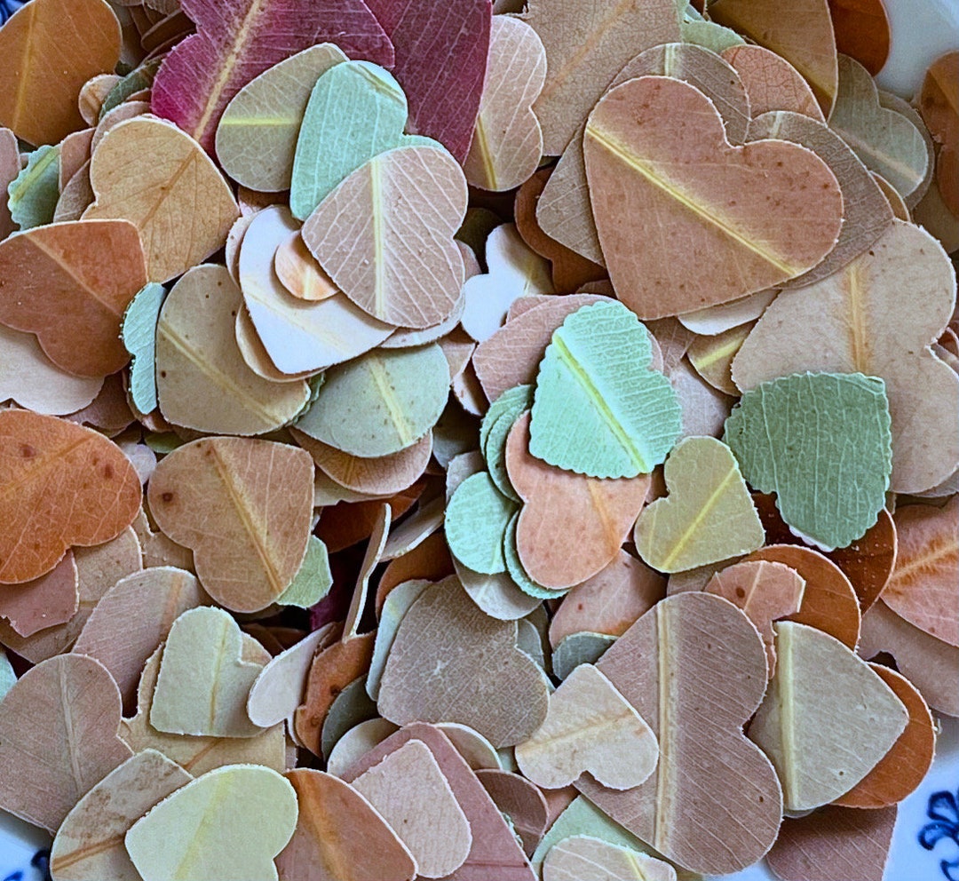 Biodegradable and Eco-friendly Table Glitter gum Leaf Confetti 1 Cup ...