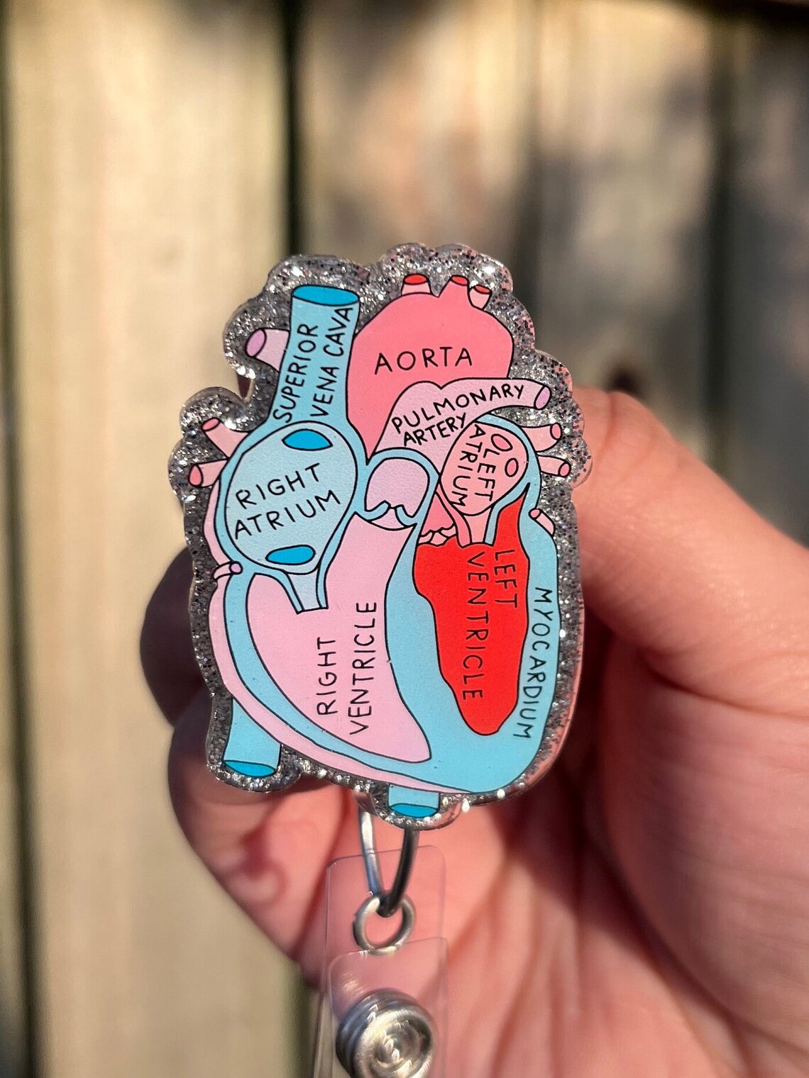 Anatomical Heart | Cardiovascular | Badge Reel - Etsy