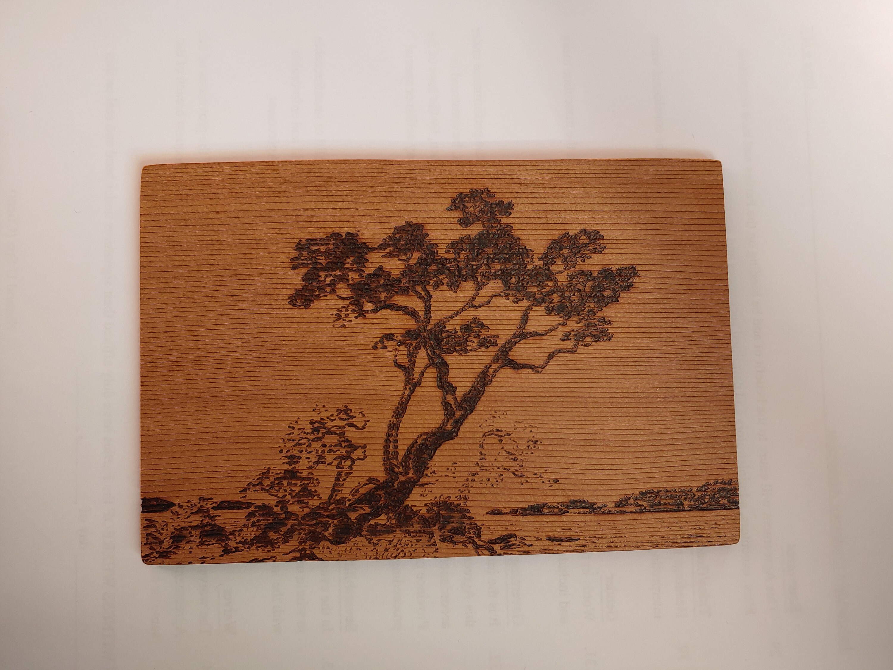 Wood Burning Pyrography Artwork Wall Picture Nature Wooden Gift Shelf ...