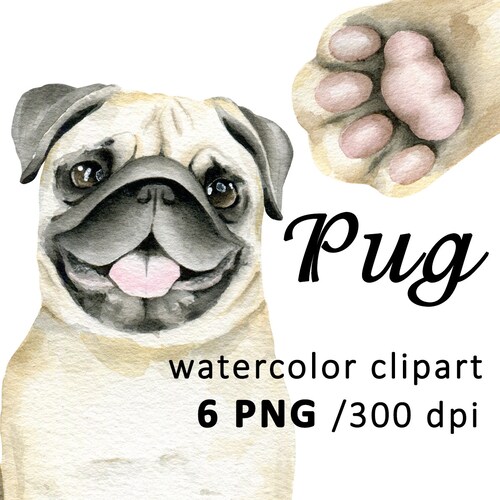 Watercolor Pug Clipart Hand Painted Dog Portrait Pug Digital - Etsy