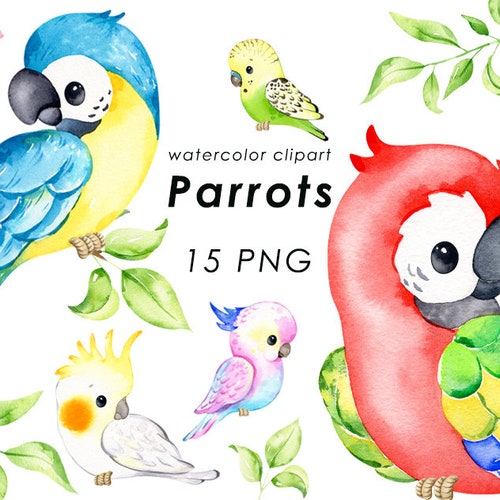 Parrots Watercolor Clipart Exotic Birds Clip Art Tropical - Etsy