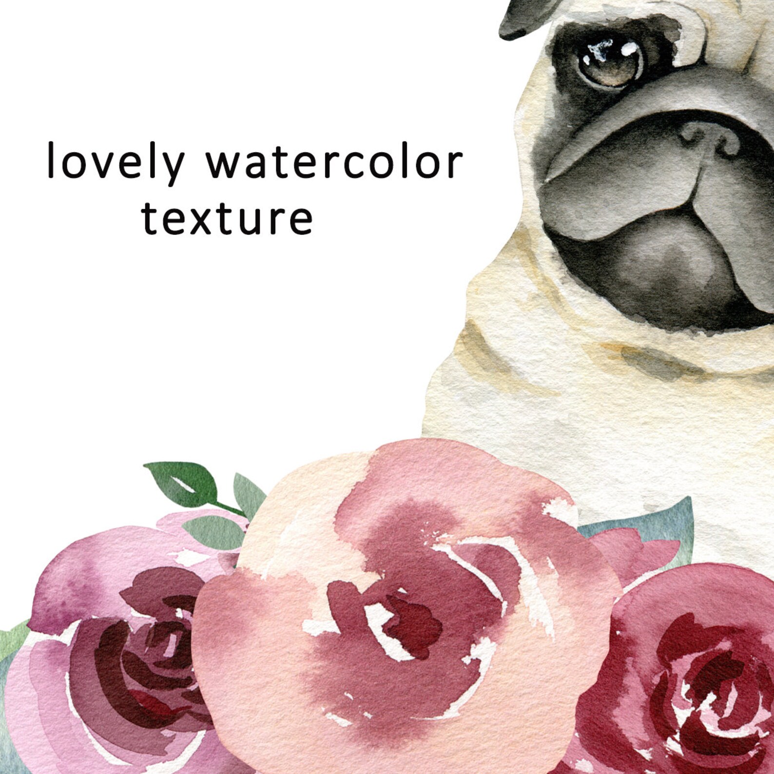 Watercolor Pug Clipart Hand Painted Dog Portrait Pug Digital - Etsy