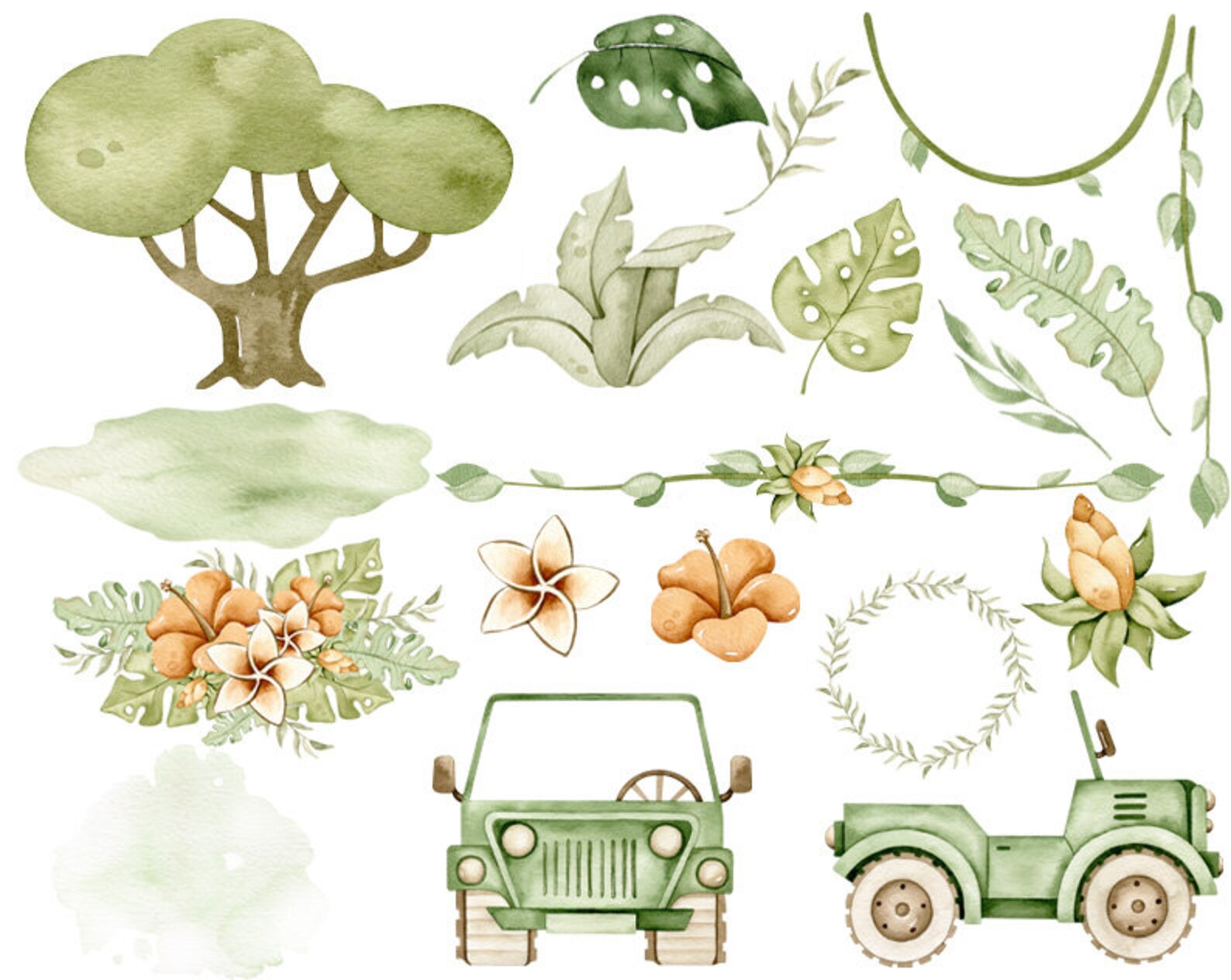 Safari Animals Watercolor Clipart Jungle Animals Clip Art - Etsy