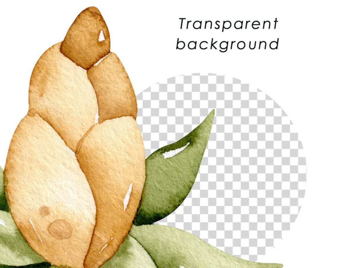 Safari Animals Watercolor Clipart Jungle Animals Clip Art - Etsy