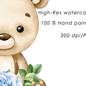 Buy Teddy Bear Clipart Watercolor Baby Bear Nursery Decor Baby Online ...