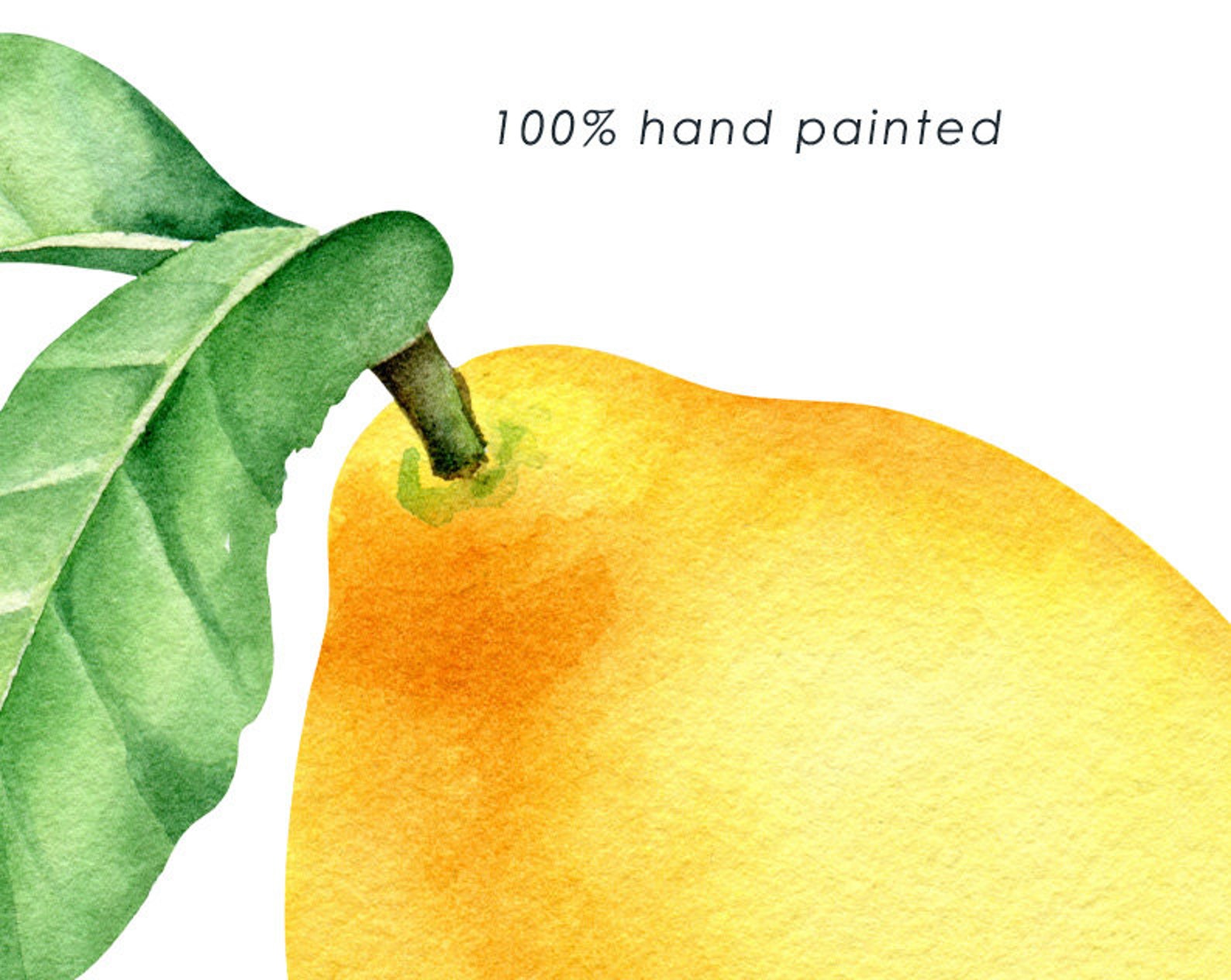 Lemon Watercolor Clipart Citrus Clip Art Fruits PNG Summer - Etsy