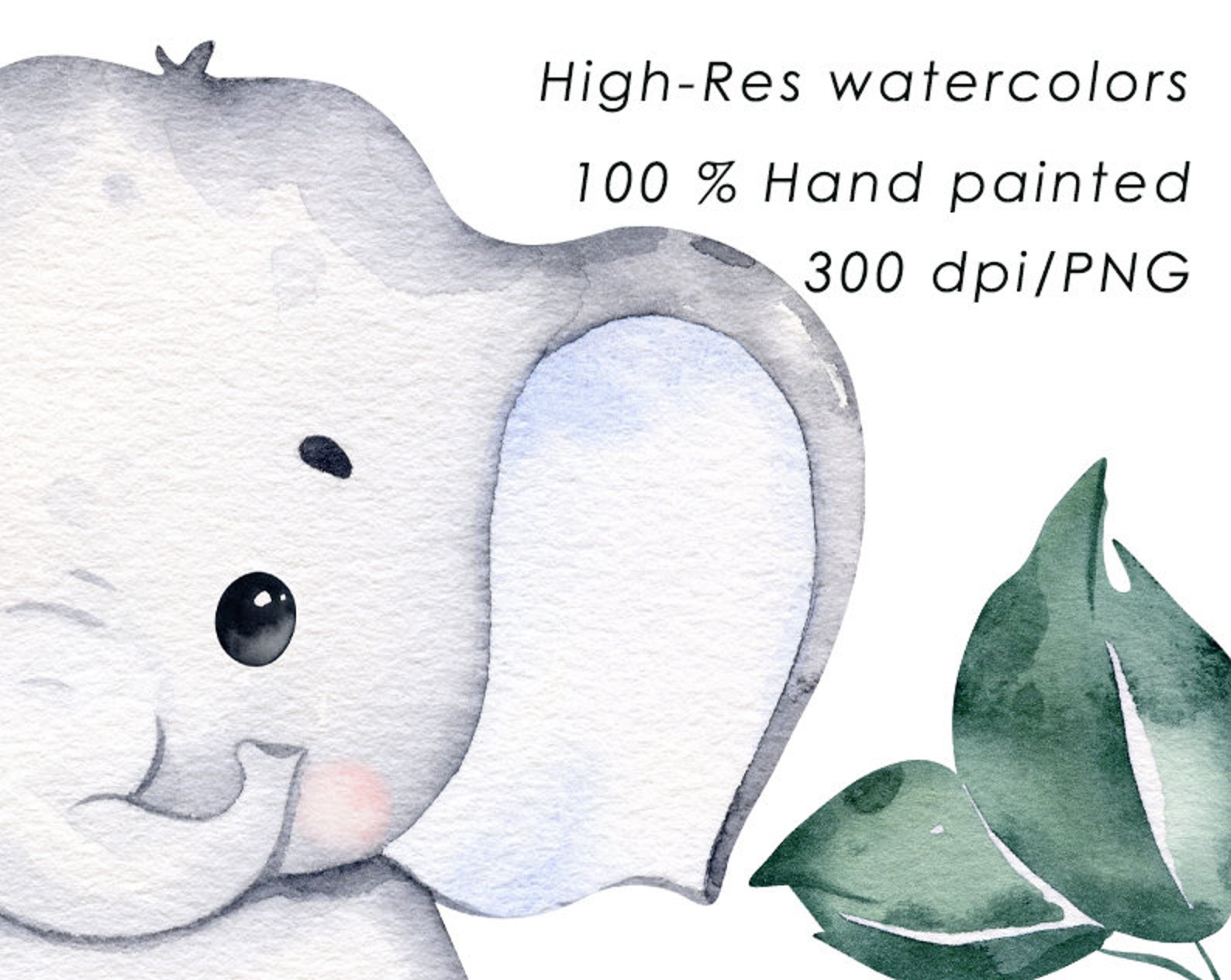 Elephant Watercolor Clipart Cute Baby Elephant PNG Baby Boy - Etsy