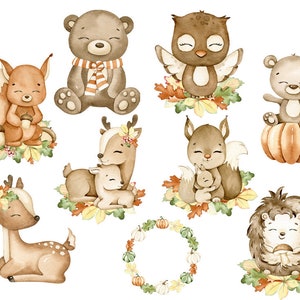 Fall Woodland Watercolor Clipart, Cute Forest Animals Clip Art, Autumn ...