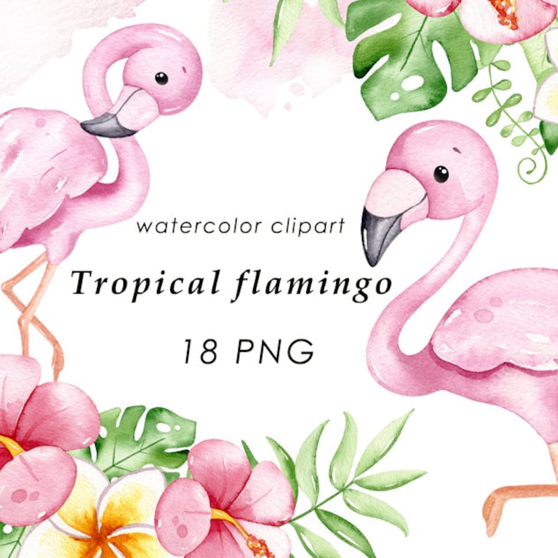 Flamingo Clipart - Etsy