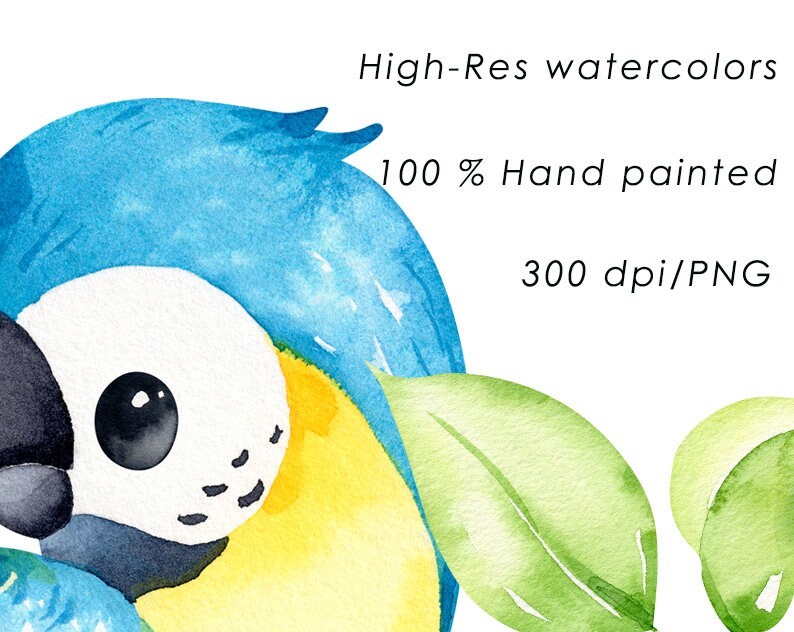 Parrots Watercolor Clipart Exotic Birds Clip Art Tropical - Etsy Australia