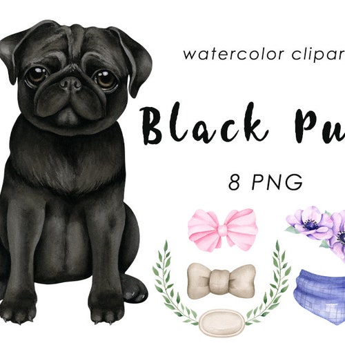 Watercolor Pug Clipart Hand Painted Dog Portrait Pug Digital - Etsy