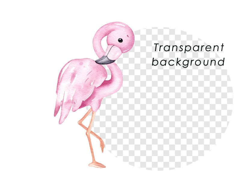 Watercolor Flamingo Clipart, Cute Tropical Clip Art, Summer Clipart ...