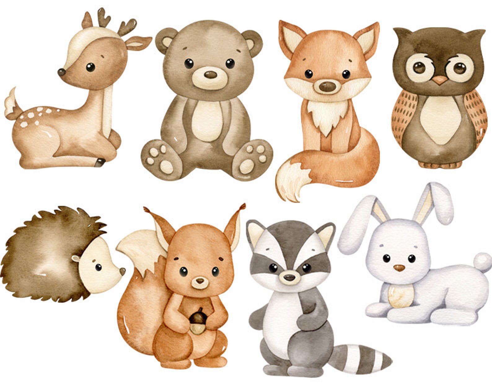 Woodland Animals Watercolor Clipart Forest Animals Clip Art - Etsy