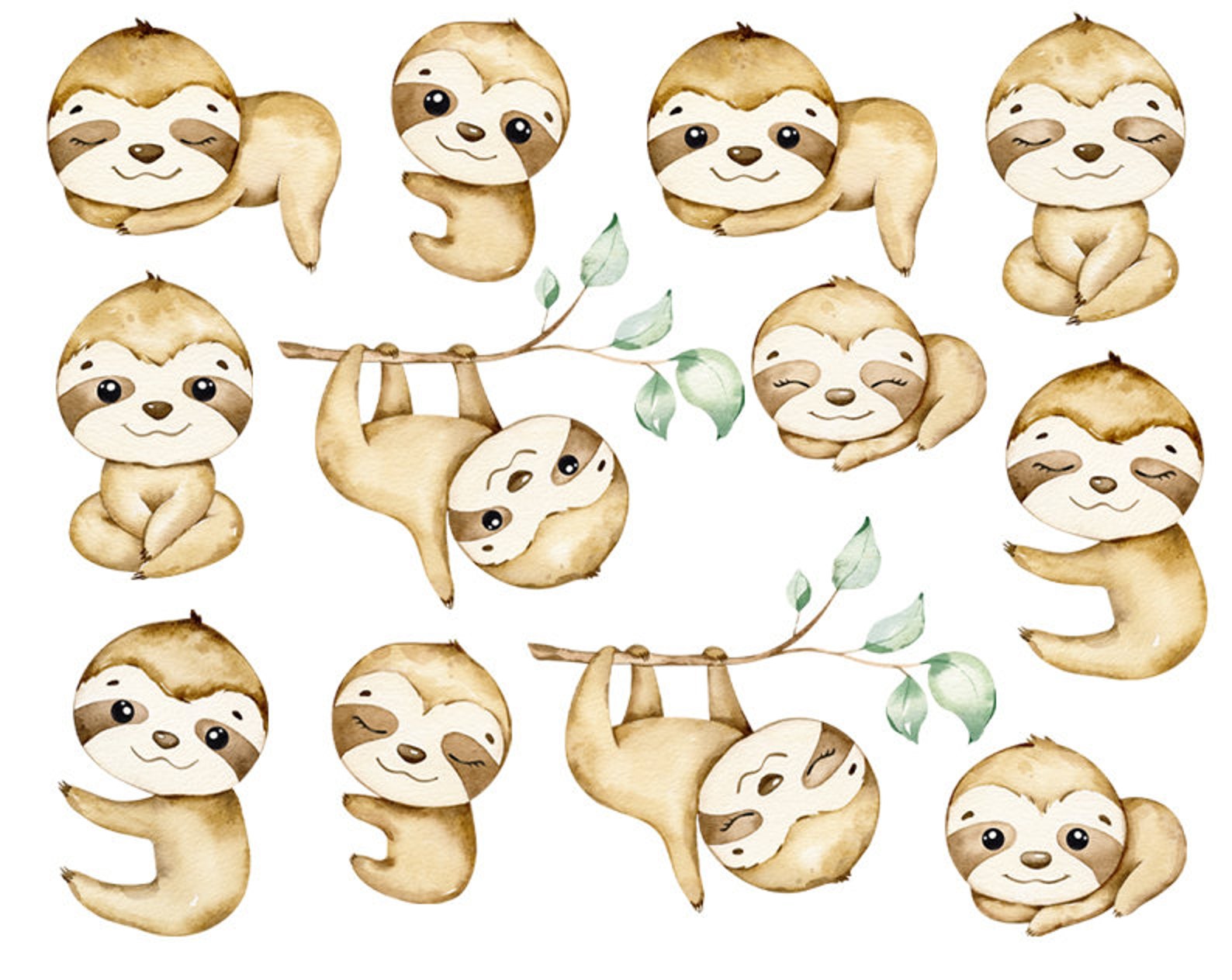 Sloth Watercolor Clipart Cute Sloths Clip Art Tropical - Etsy