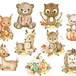 Fall Woodland Watercolor Clipart Cute Forest Animals Clip - Etsy