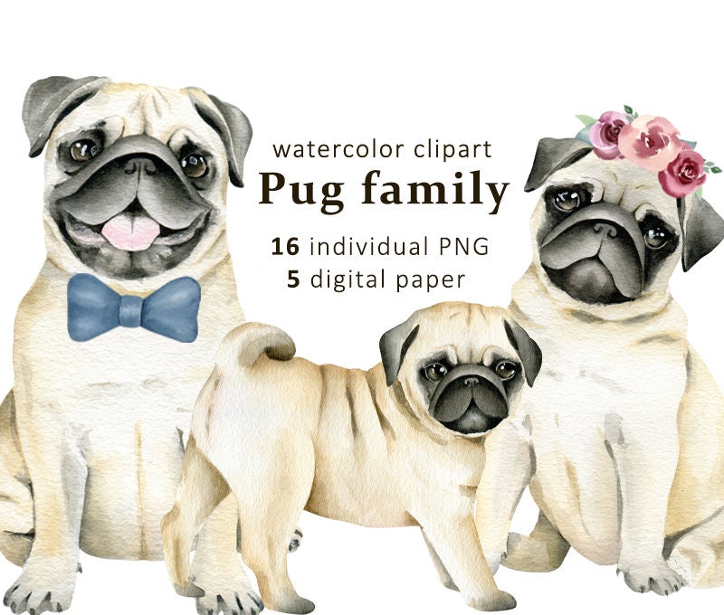 Watercolor Pug Clipart Hand Painted Dog Portrait Pug Digital - Etsy