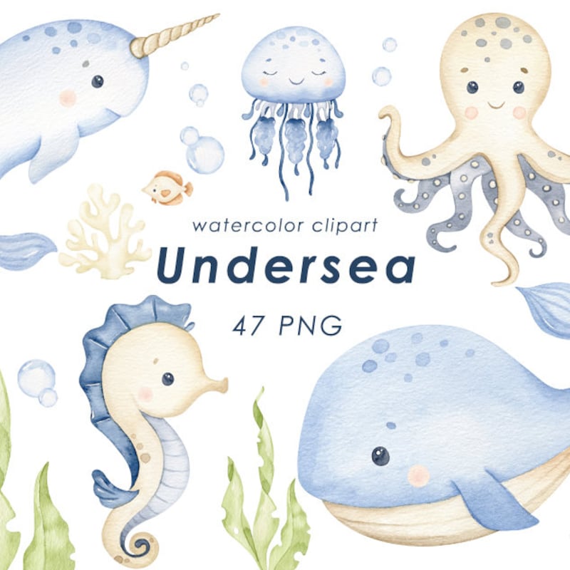 Whale Baby Party Decor - Etsy