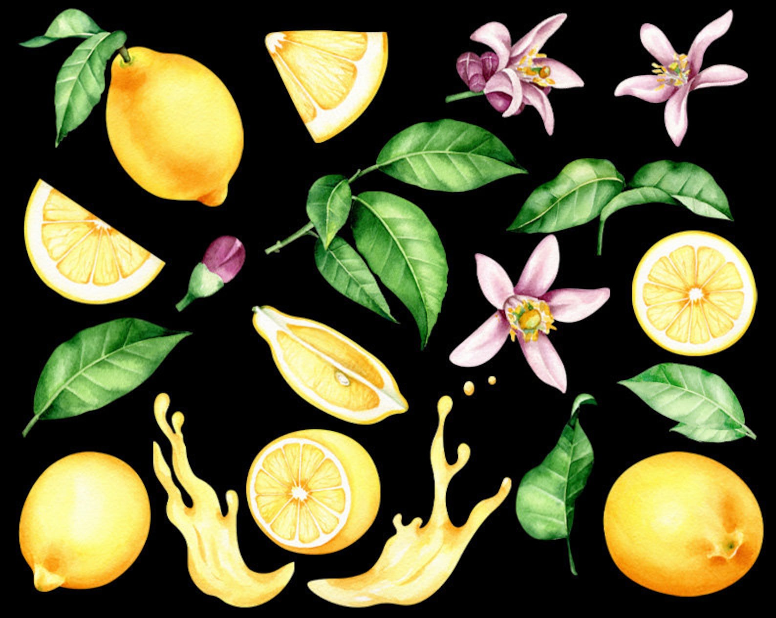 Lemon Watercolor Clipart Citrus Clip Art Fruits PNG Summer - Etsy