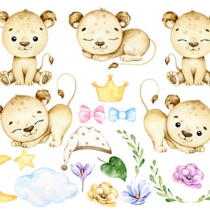 Lion Watercolor Clipart, Little Lion Png, Nursery Decor, Safari ...