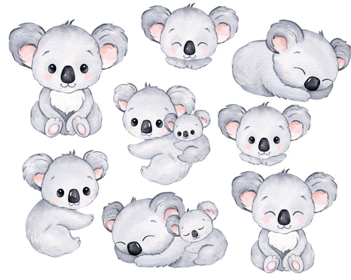 Koala Watercolor Clipart Cute Koala Png Nursery Decor Baby - Etsy