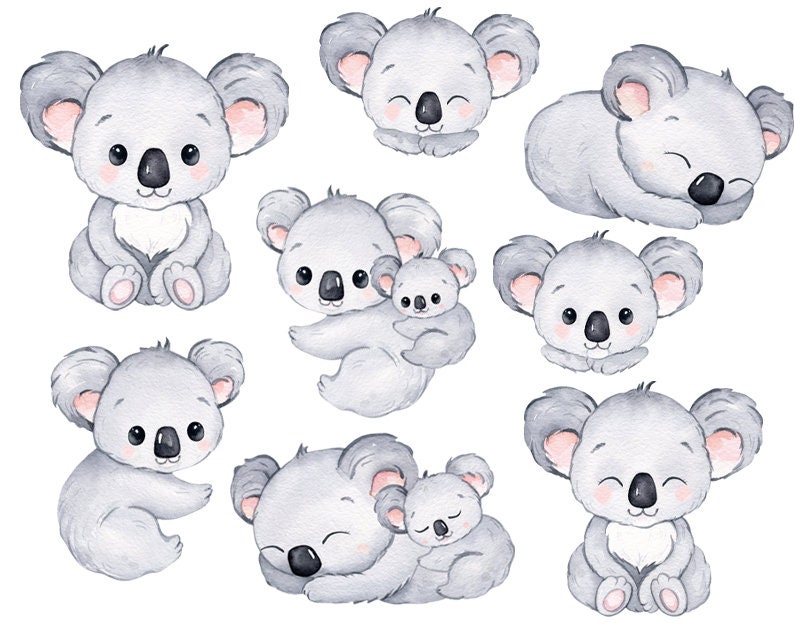 Koala Watercolor Clipart, Cute Koala Png, Nursery Decor, Baby Shower - Etsy