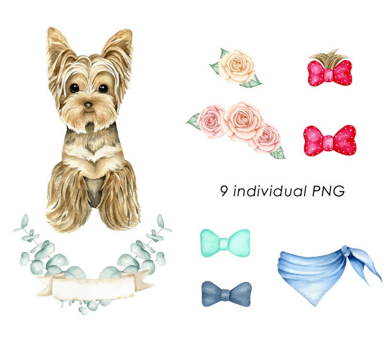 Watercolor Yorkshire Terrier Clipart Hand Painted Yorkie PNG - Etsy