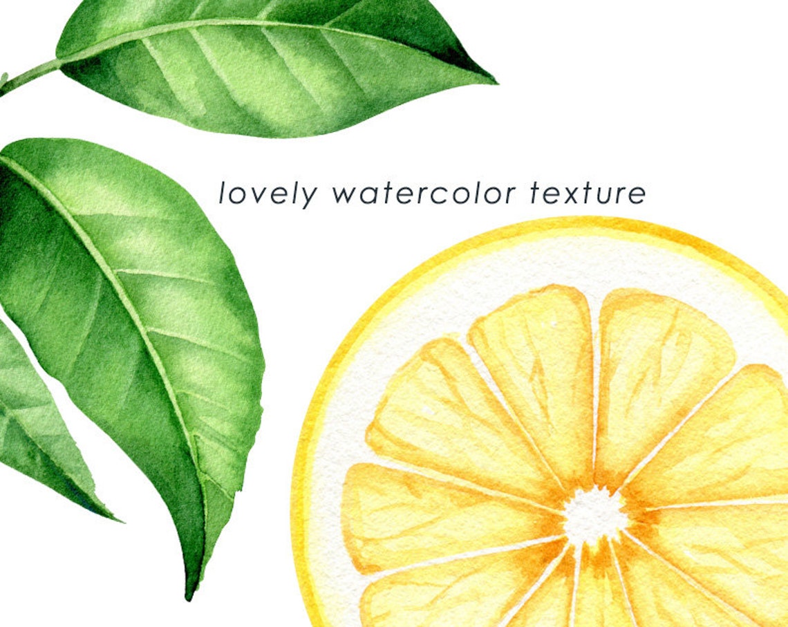 Lemon Watercolor Clipart Citrus Clip Art Fruits PNG Summer - Etsy