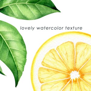 Lemon Watercolor Clipart, Citrus Clip Art, Fruits PNG, Summer Lemons ...
