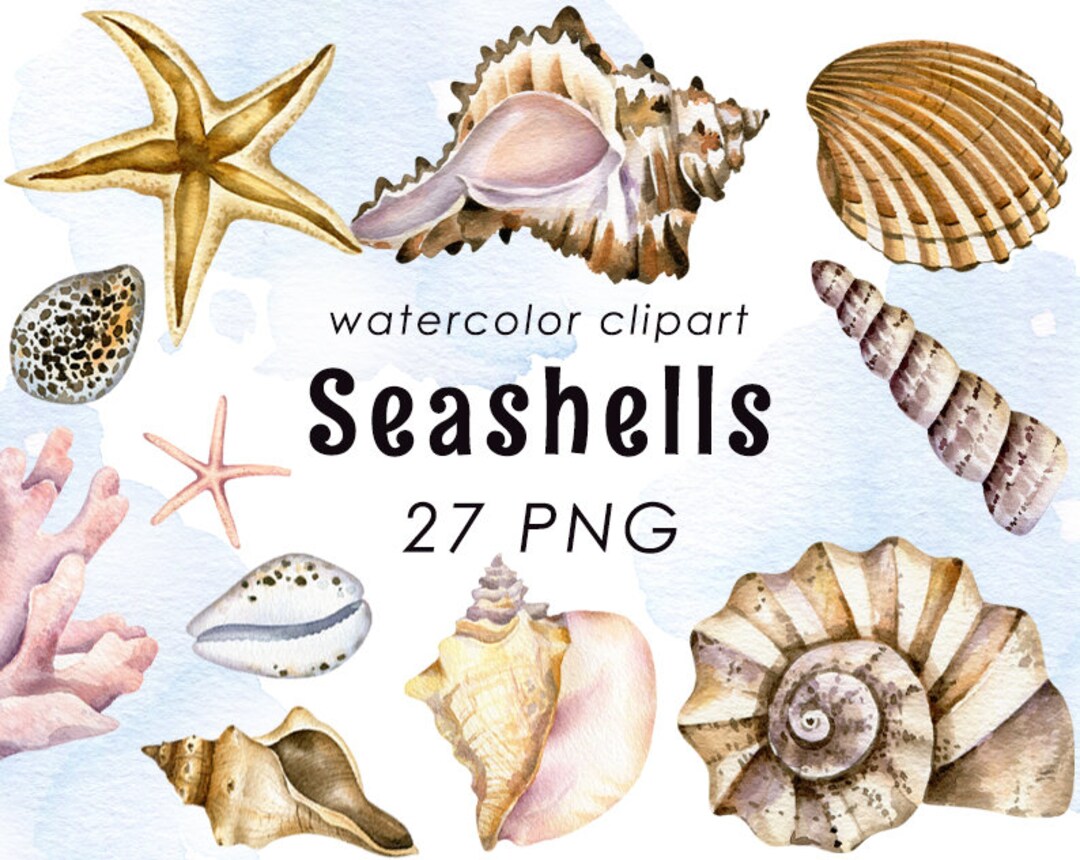 Watercolor Seashells Clipart, Nautical Summer Clipart, Starfish Conch ...