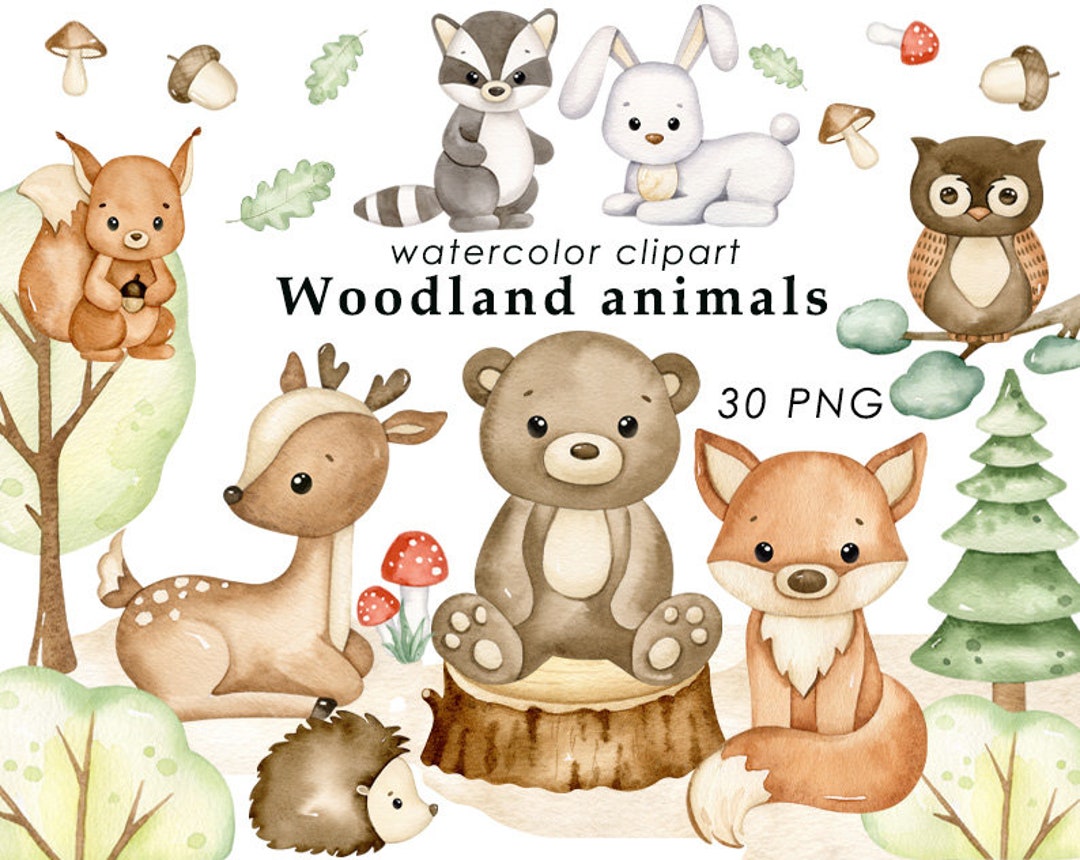 Woodland Animals Watercolor Clipart, Forest Animals Clip Art, Nursery ...
