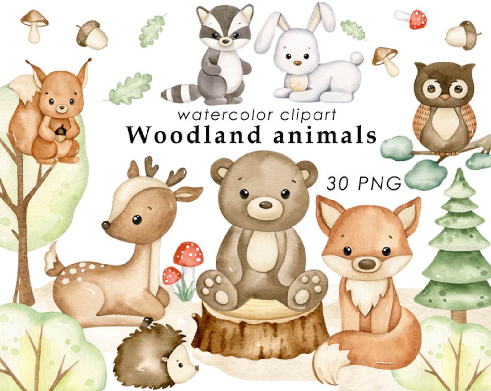 Woodland Animals Watercolor Clipart Forest Animals Clip Art - Etsy