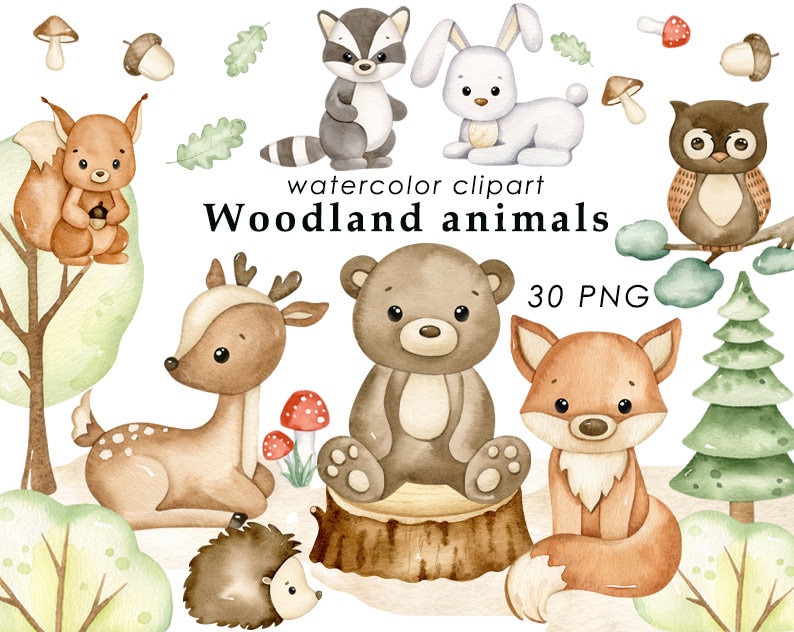 Woodland Animals Watercolor Clipart Forest Animals Clip Art - Etsy