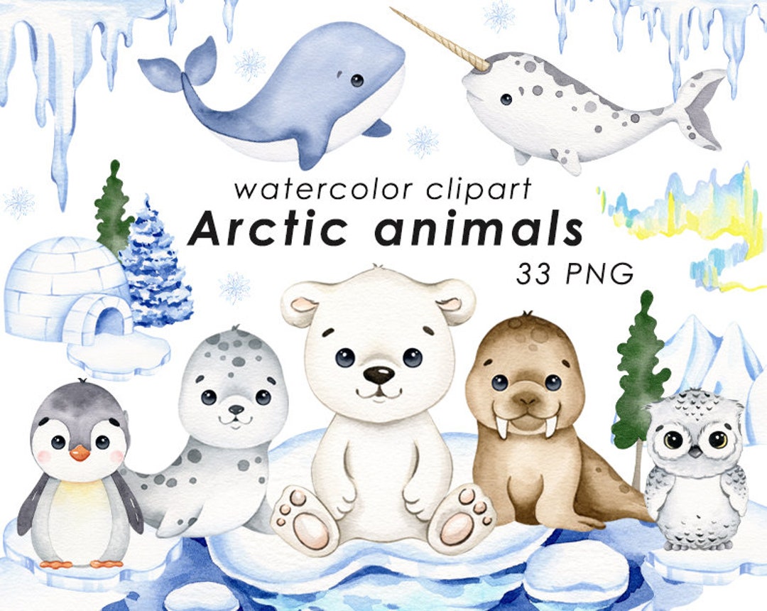 Arctic Animals Watercolor Clipart, Cute Polar Bear, Penguin, Narwal ...