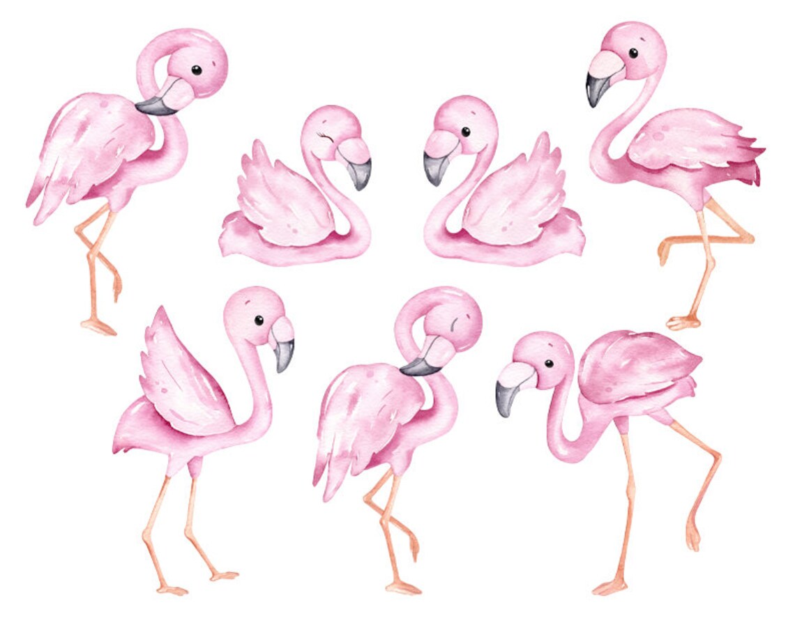Watercolor Flamingo Clipart Cute Tropical Clip Art Summer - Etsy