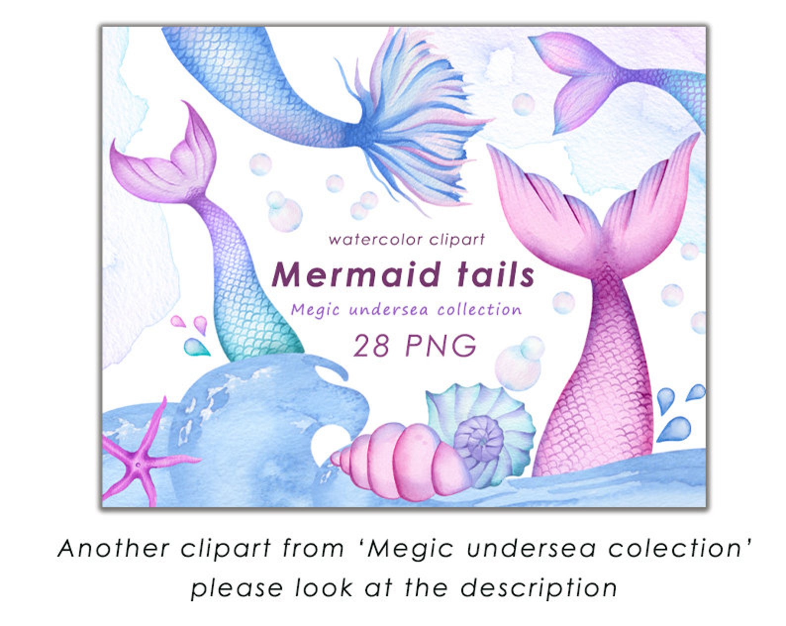 Watercolor Seashells Clipart Summer Clip Art Nautical - Etsy