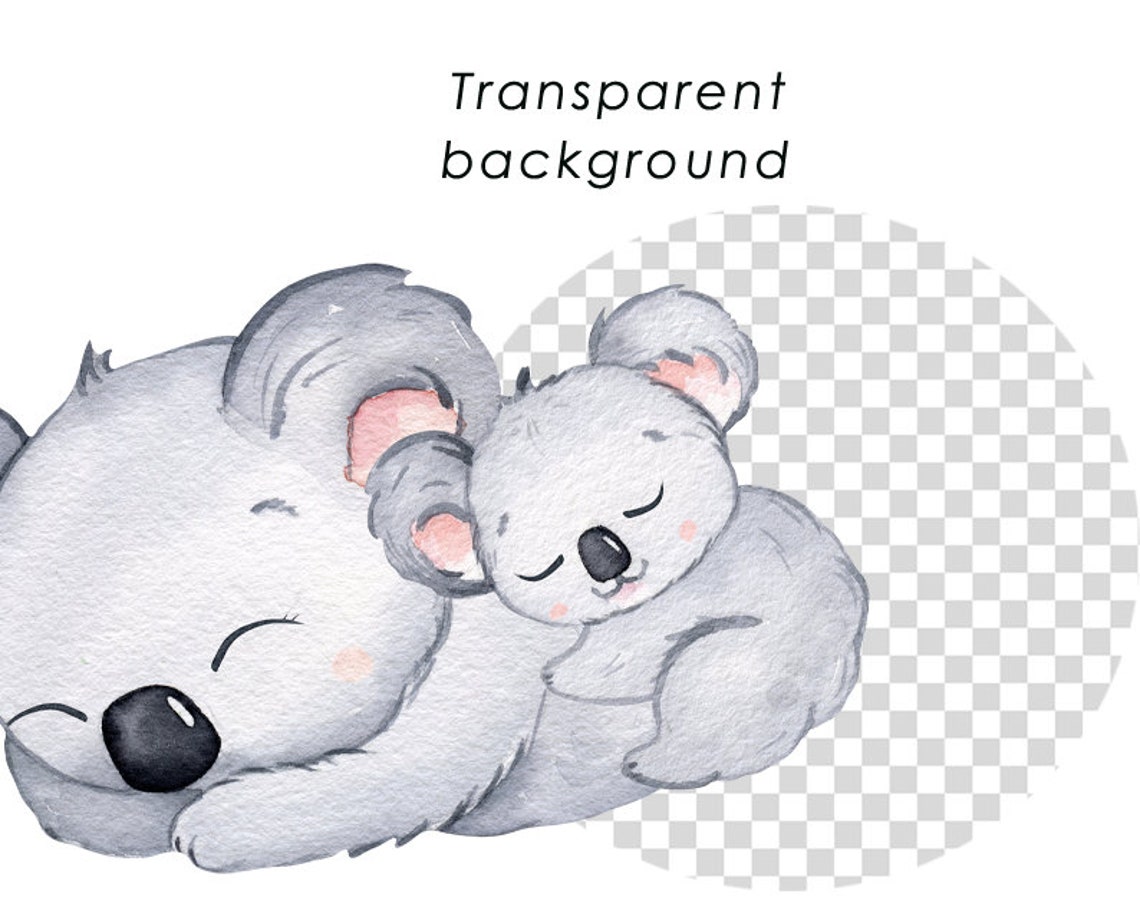 Koala Watercolor Clipart Cute Koala Png Nursery Decor Baby - Etsy