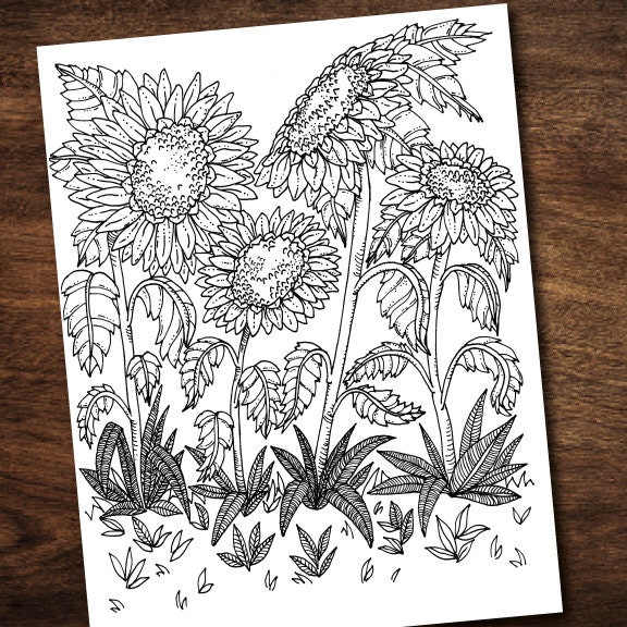 VOLUME-6 Anti-stress Coloring - Etsy