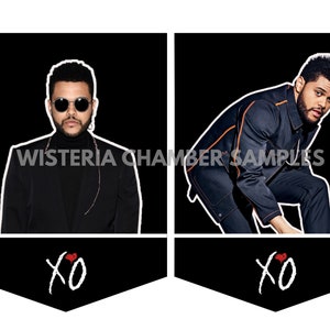 The Weeknd Banner Flag Digital Download The Weeknd Party | Etsy