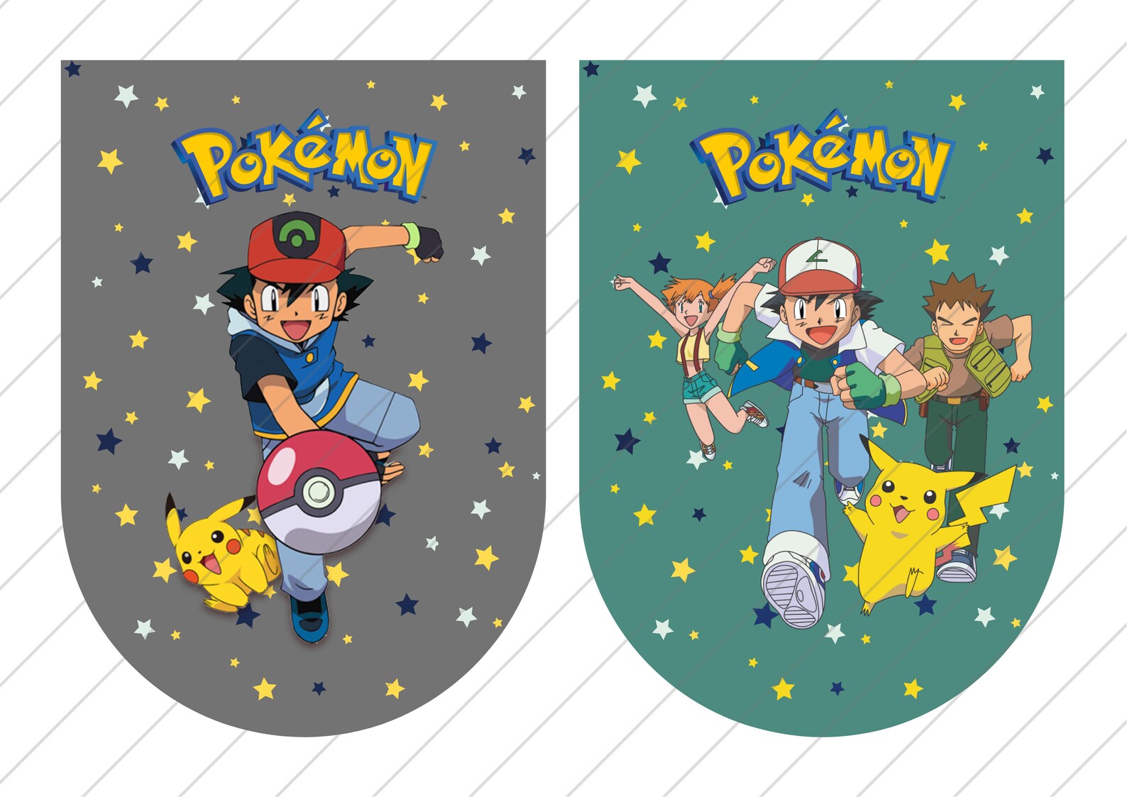 Pokemon Banner Flag Digital Download Pokemon Party | Etsy