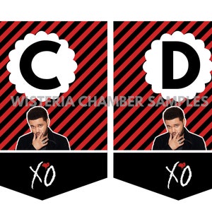 The Weeknd Banner Flag Digital Download The Weeknd Party | Etsy