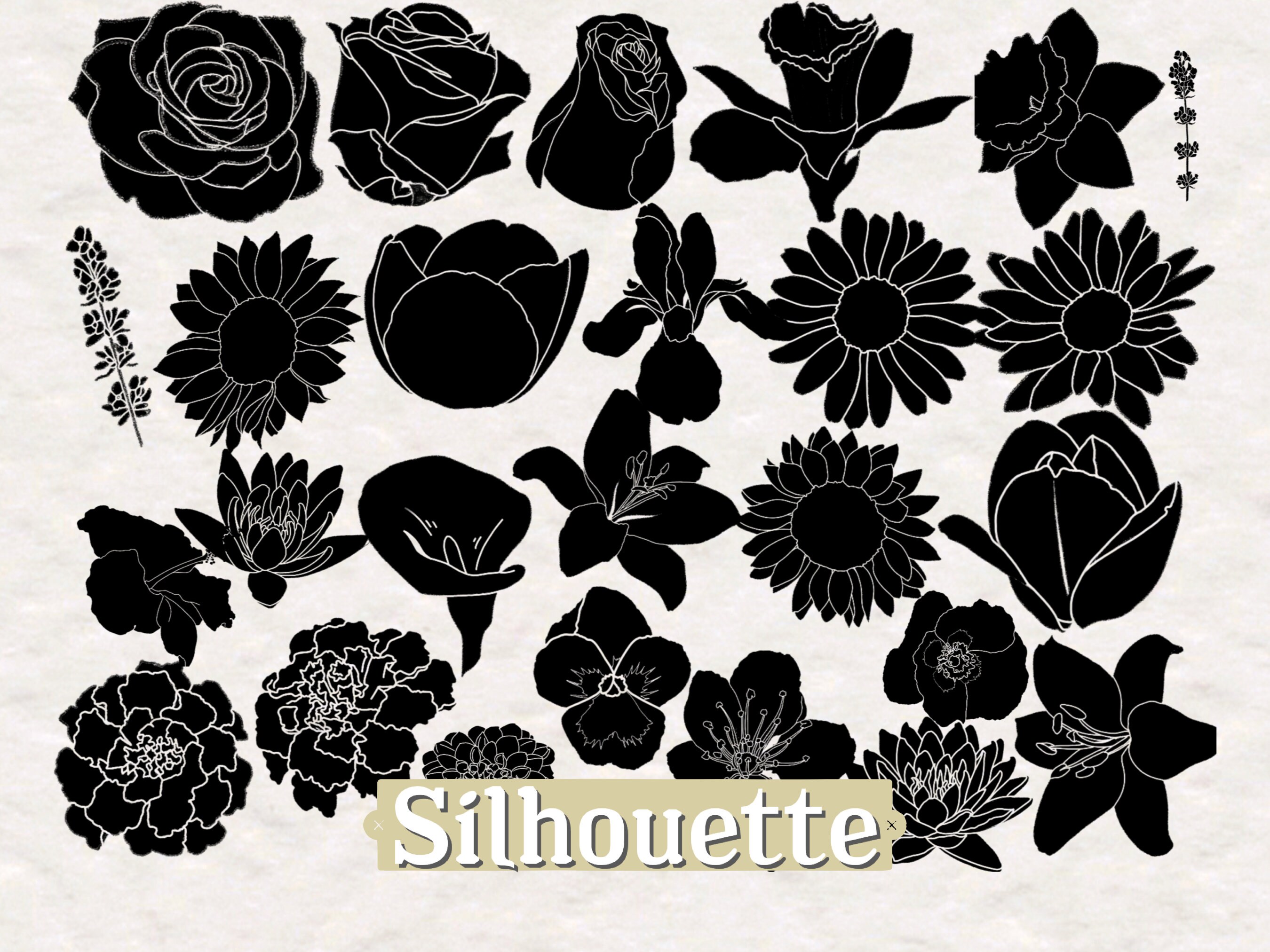 50 Flower Floral Graphic Bundle SVG and PNG Free Commercial Use : Use ...