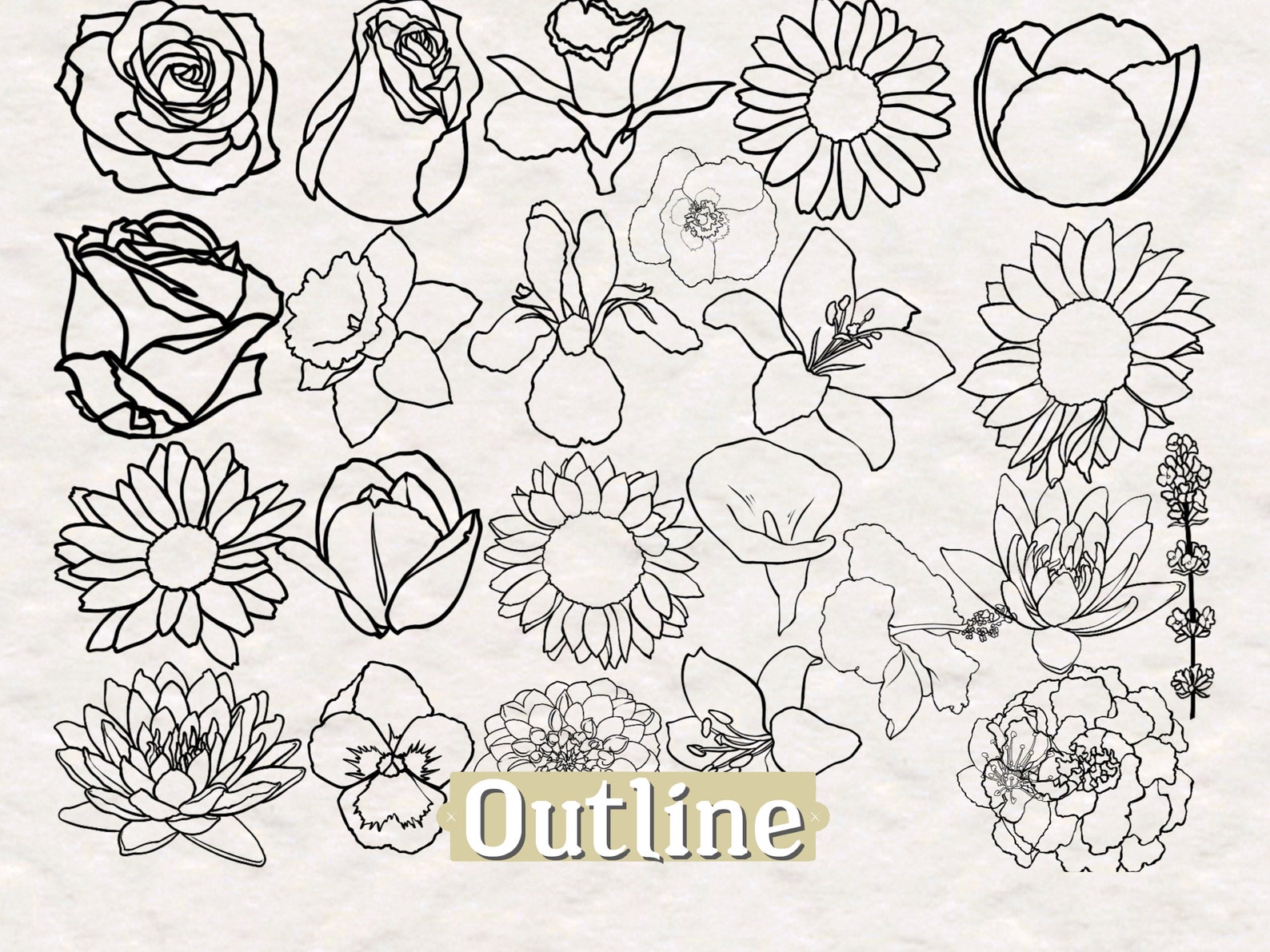 50+ Flower Clip Art Bundle | SVG and PNG | Free Commercial Use : Use ...