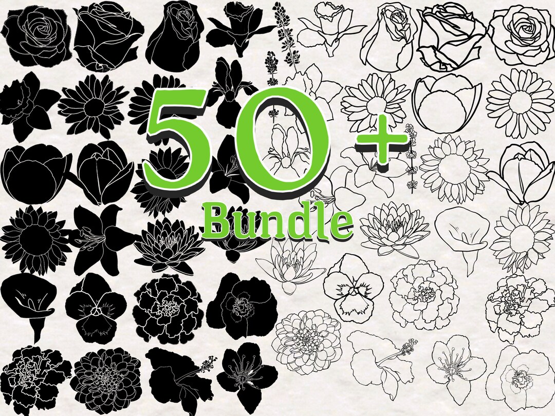 50 Flower Floral Graphic Bundle SVG and PNG Free Commercial Use : Use ...