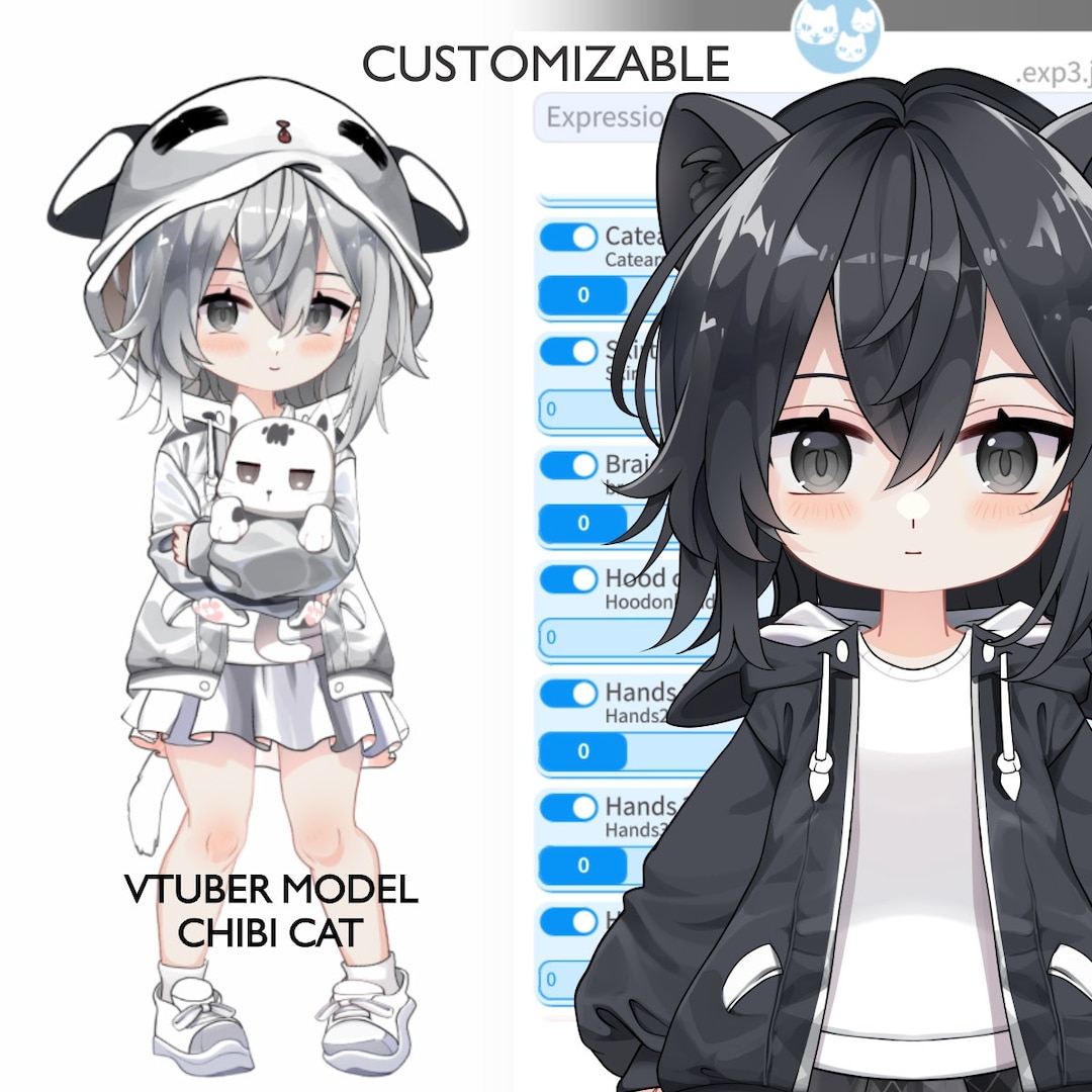 Customizable Live2d Premade Vtuber | Chibi Model | Editable & Rigging ...