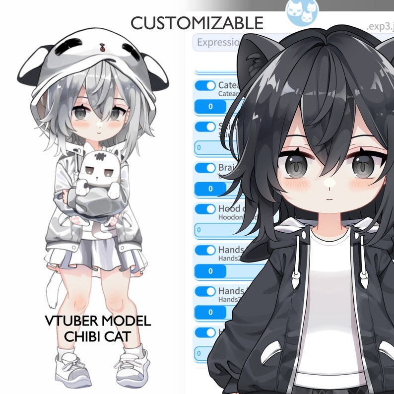 Customizable Live2d Premade Vtuber | Chibi Model | Editable & Rigging ...