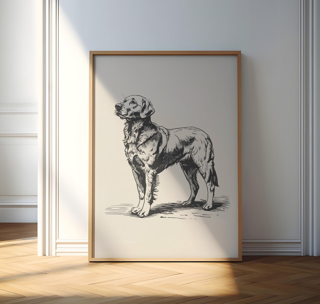 Dog Retro Drawing, Golden Retriever Print, Dog Vintage Drawing, Dog Art ...