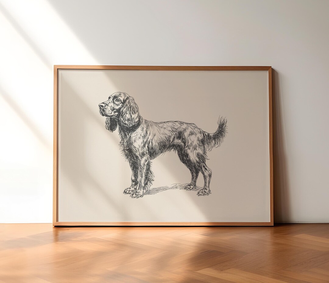 Boykin Spaniel Vintage Wall Art, Dog Retro Poster, Antique Vintage ...