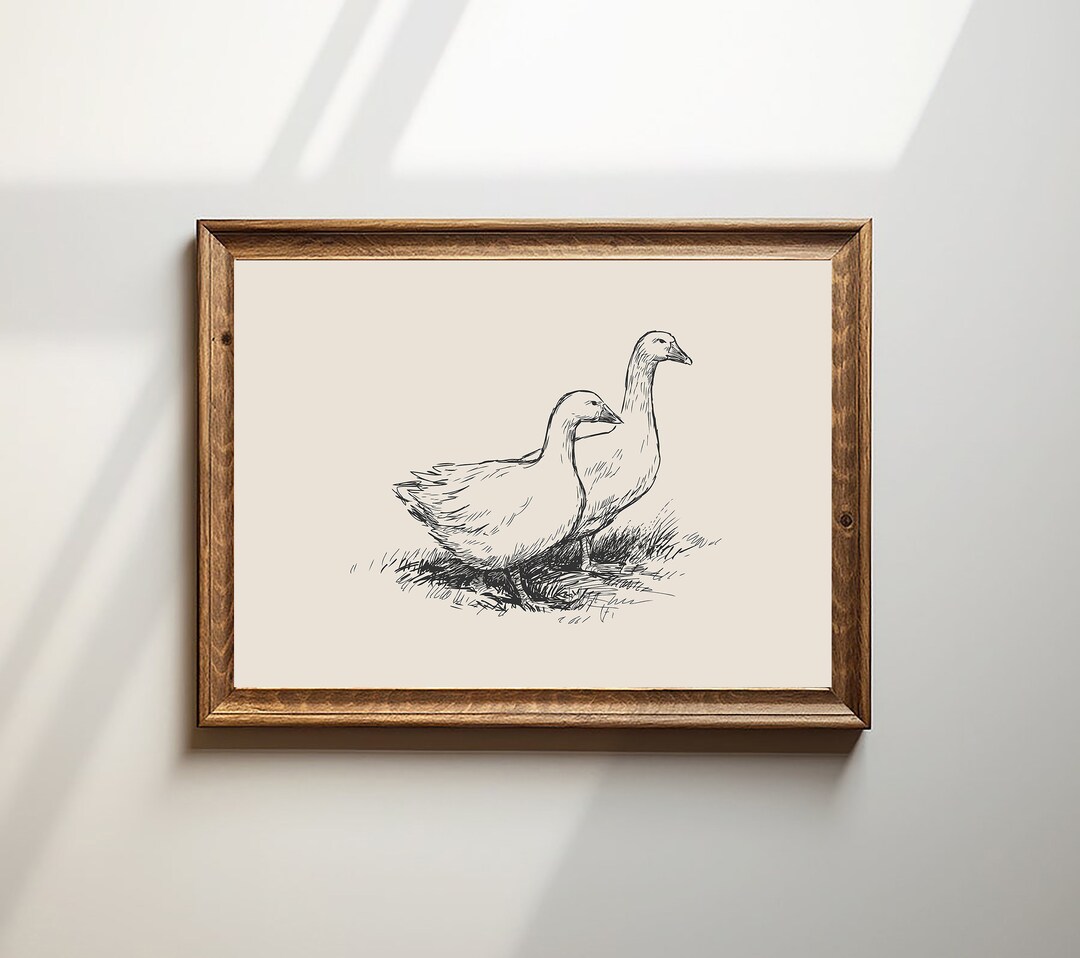 Duck Wall Art, Duck Vintage Print, Horizontal Duck Poster, Duck Drawing ...